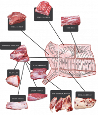 Forequarter Cuts - Beefmaster Expo Catalogue